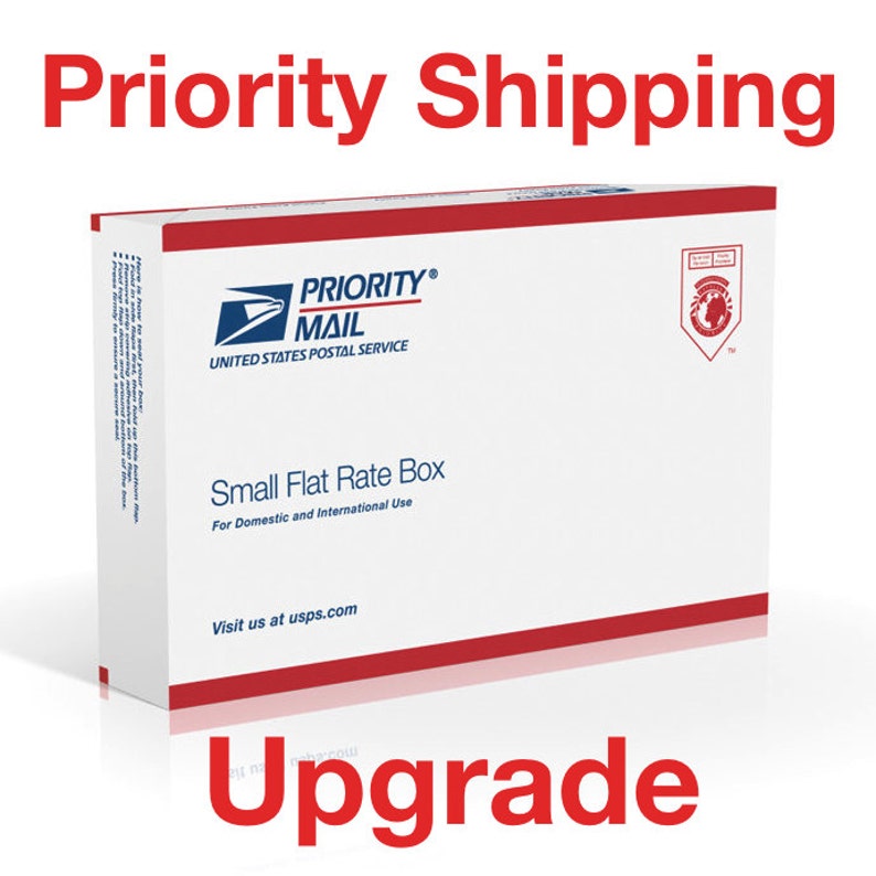 International Priority Express Shipping Upgrade 6 10 Day - Etsy