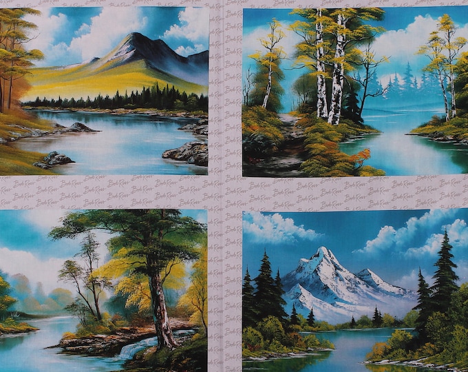 Bob Ross Copy by Certified Ross Instructor Paint With Bram on 16x20 ...