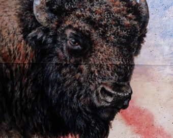 Bison Fabric Bison Print Black and White by Kelly Korver - Etsy