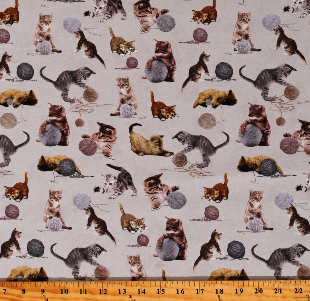 Cotton Cats Playing With Balls of Yarn Kittens Pets You Had Me at Meow ...