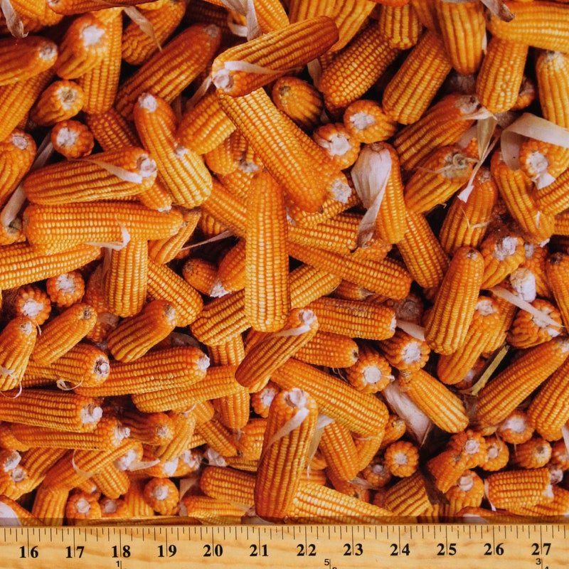 Corn Fabric - Etsy