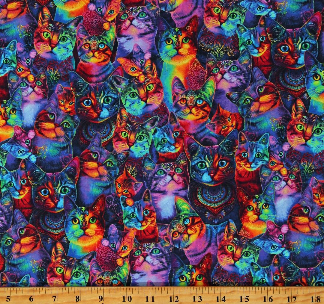 Cotton Packed Rainbow Cats Kittens Kitty Animals Pets Colorful Heads ...