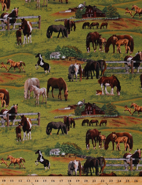 Cotton Horses Foals Scenic Field Pasture Country Farmhouses | Etsy