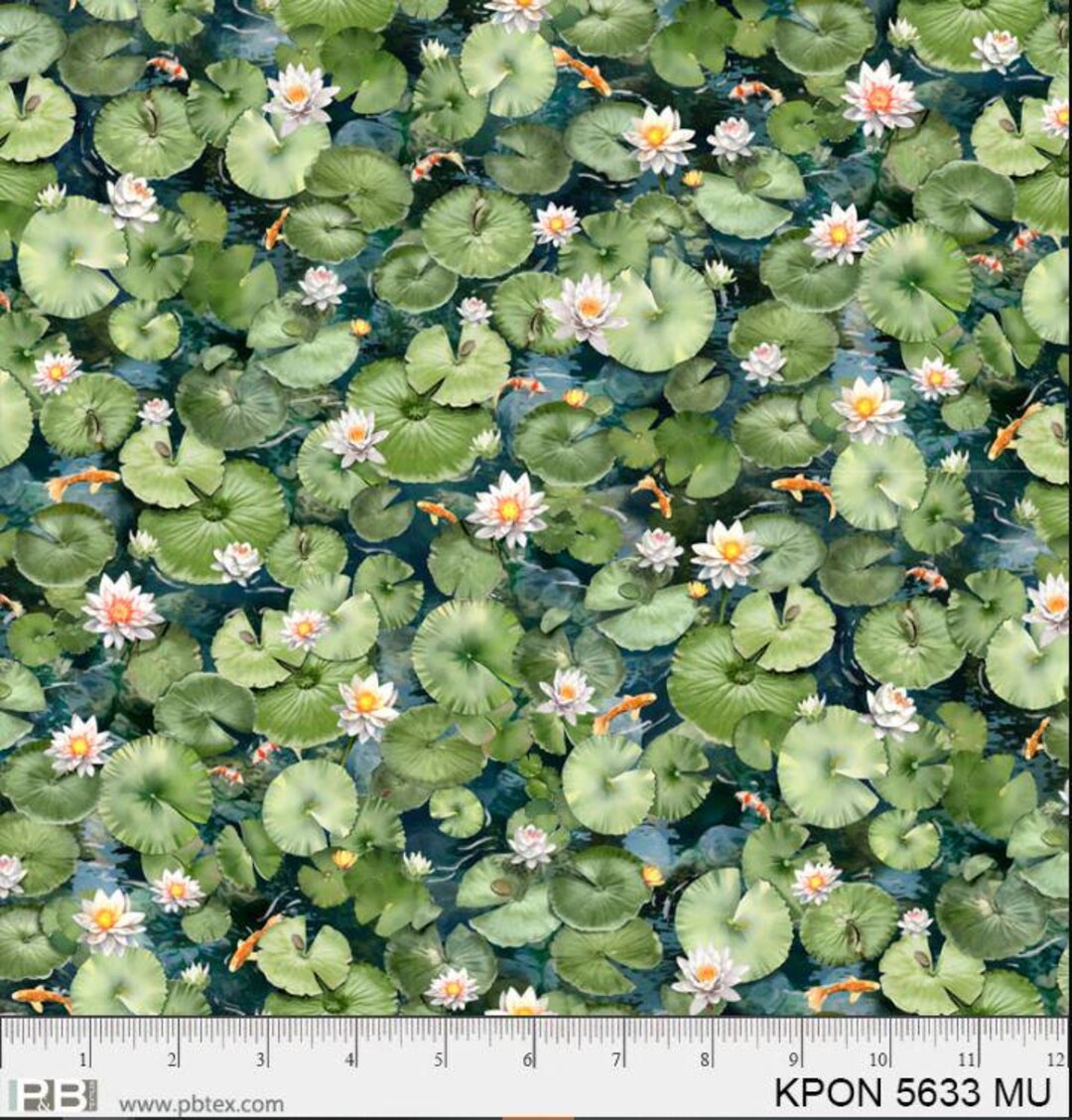 Cotton Lily Pads Water Lilies Flowers Nature Floral Koi Pond P&B ...