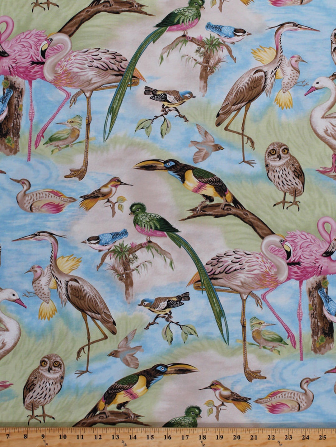 Cotton Bird Species Breeds Owl Flamingo Parrot Bluebird Swan Duck ...