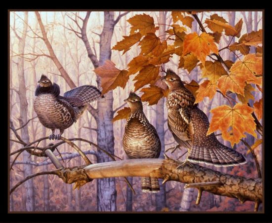 35.5" X 44" Panel Quails Hunting Leaves Leaf Camouflage Winter Autumn ...