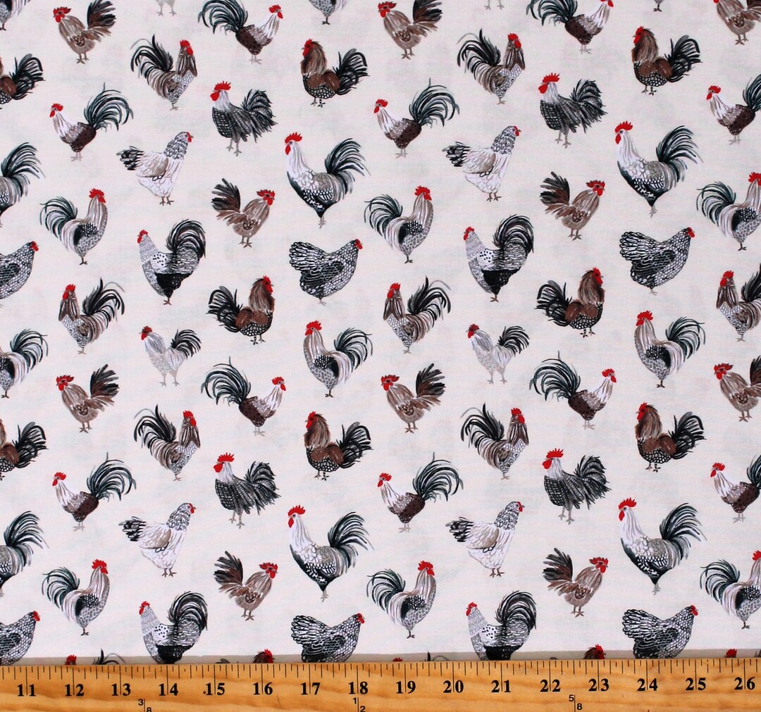 Cotton Chickens Roosters Hens Animals Poultry Birds Farm Fresh Cream ...