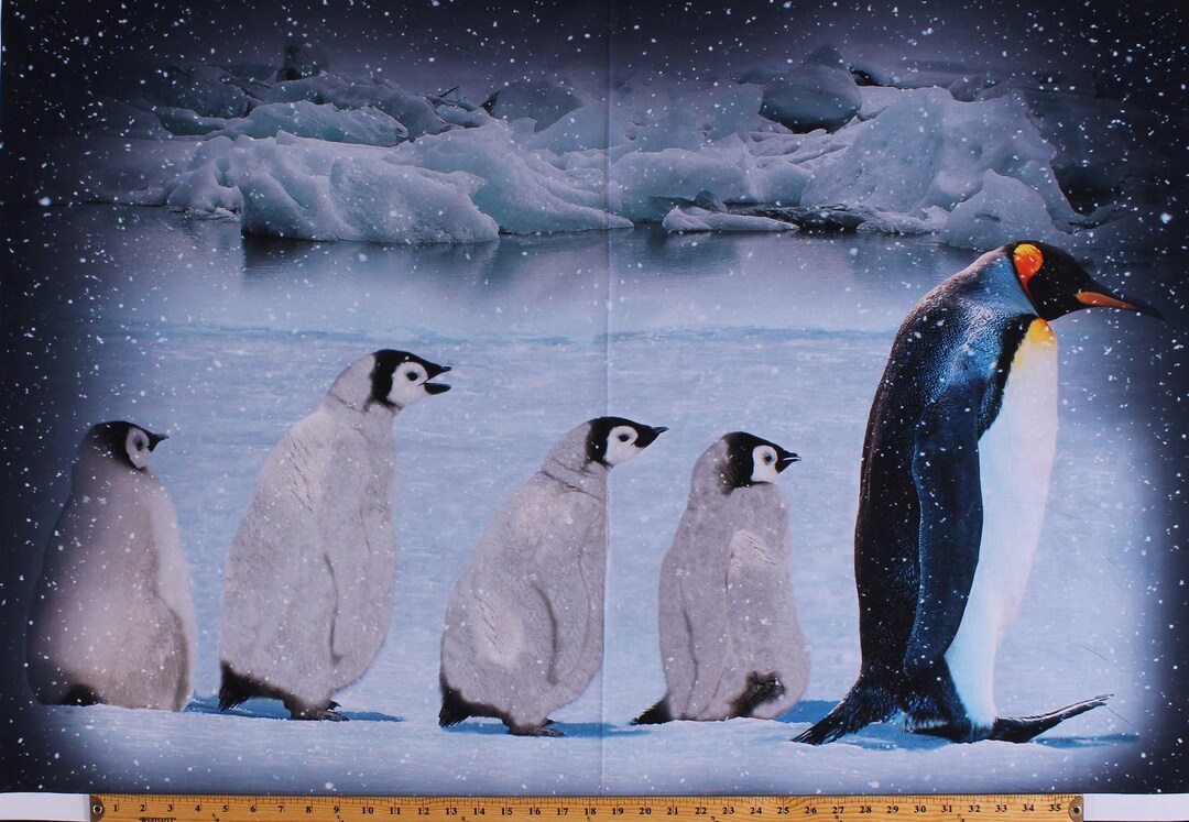 30" X 44" Panel Penguins Snow Ice Cold Arctic Winter Landscape ...