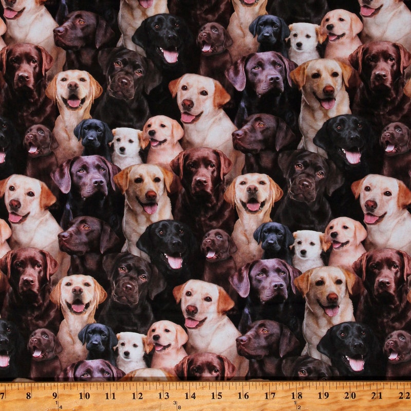 Lab Quilt Panel - Etsy