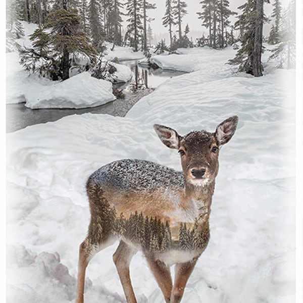 Call of the Wild Panel Fawn - Etsy