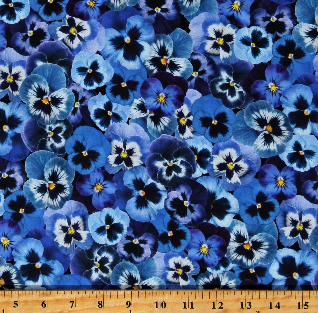 Cotton Packed Pansy Pansy Paradise Pansies Floral Flowers Nature Blue ...