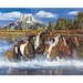 Mare and Foal Fabric Panel 36x44, PD7010 Hold Your Horses Fabric ...