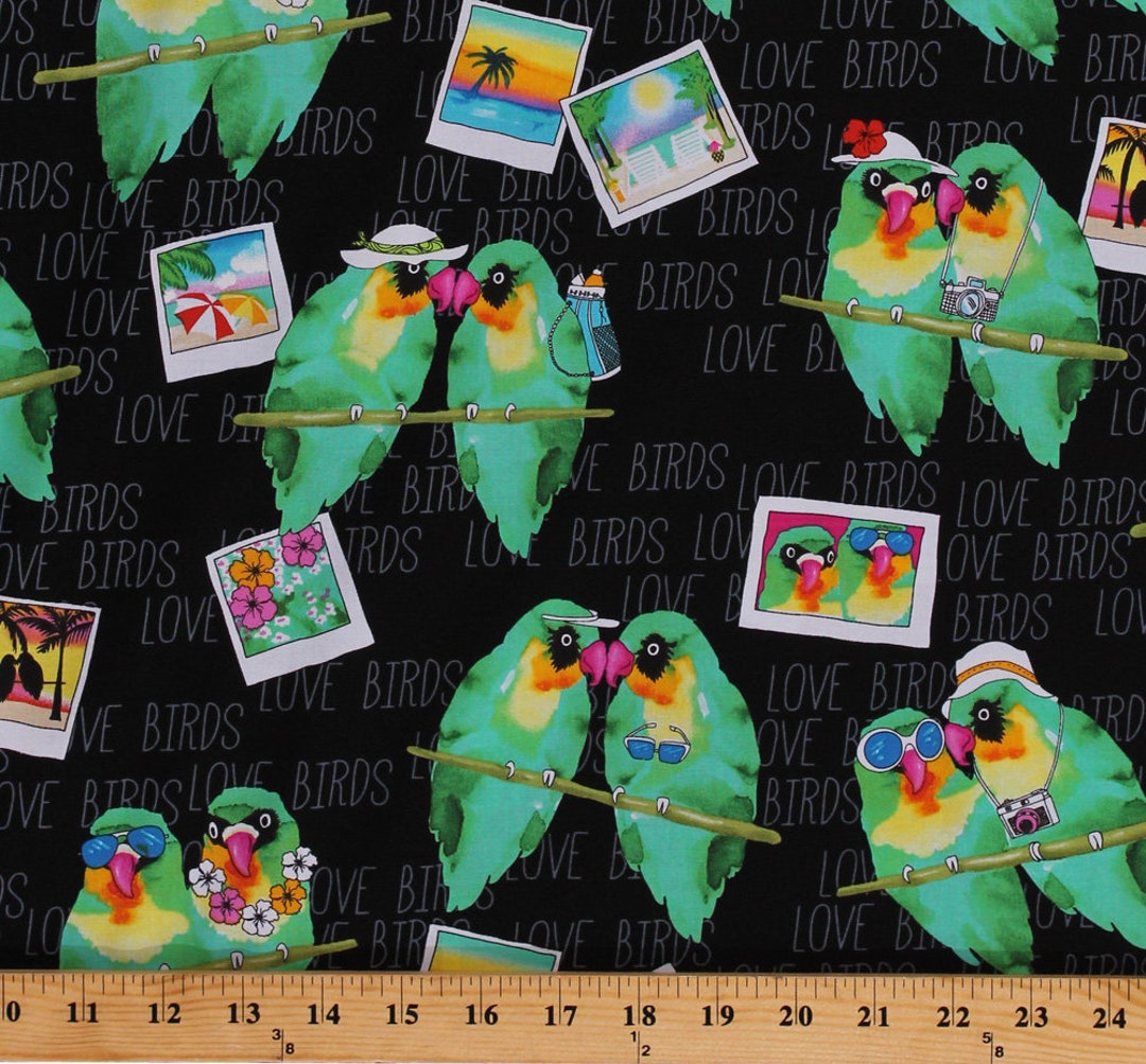 Cotton Love Birds Parrots Tropical Birds Photographs Summer Hawaiian ...