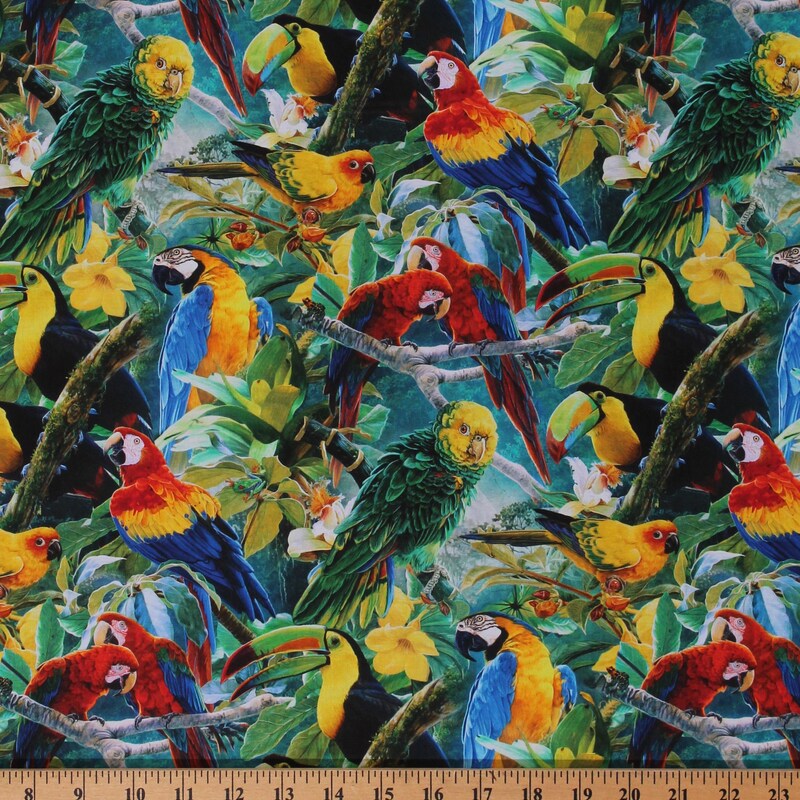 Toucan Fabric - Etsy