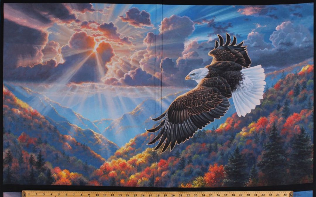 Soaring Eagle - 24.5" X 44" Panel Bald Eagle Sunset Mountains Scenic ...
