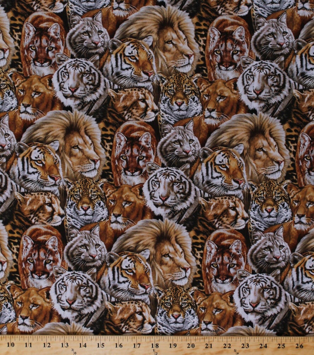 Cotton Big Cats Lions Tigers Pumas Cougars Mountain Lions Wild Animals ...