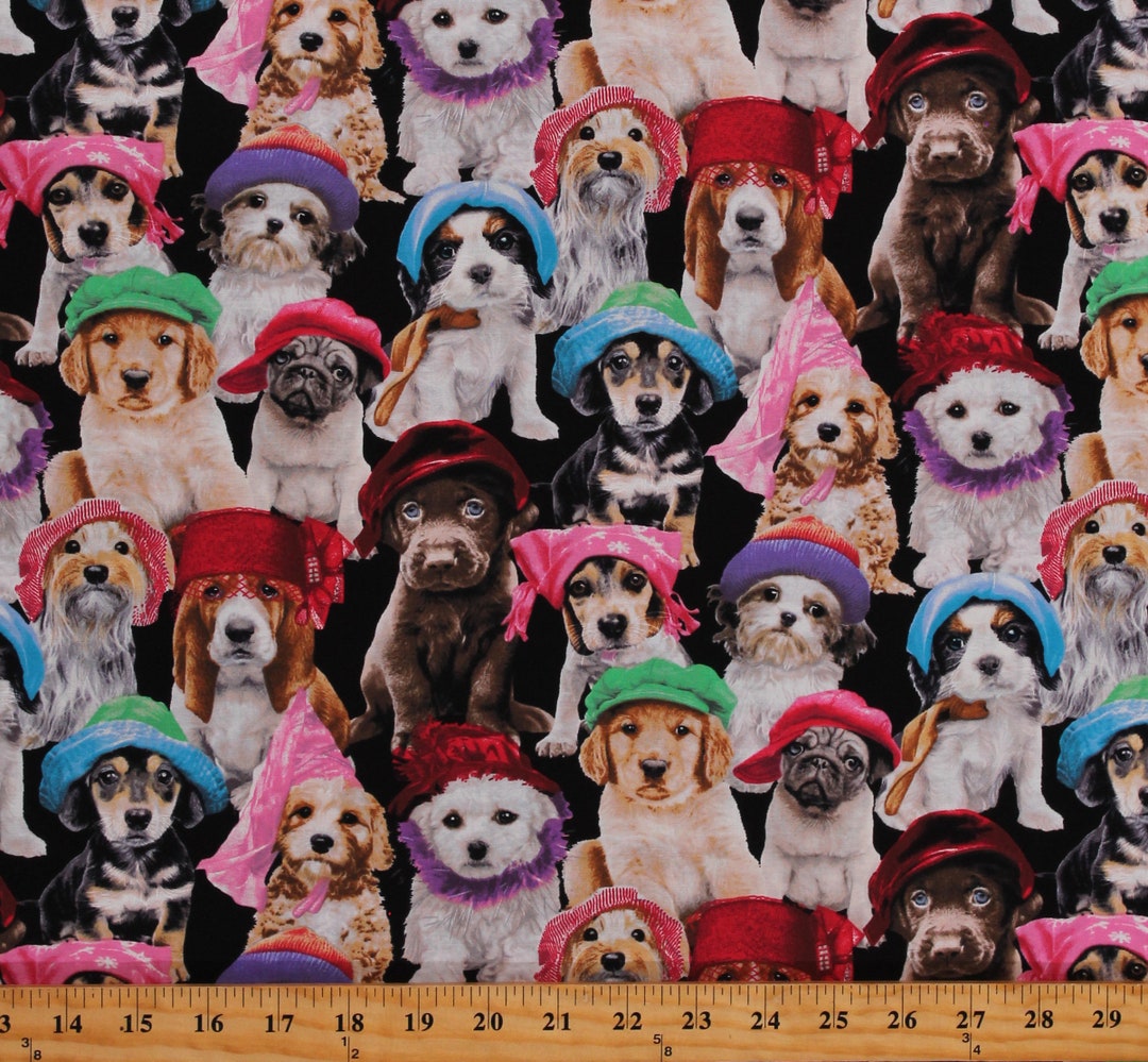 Cotton Dogs Puppies Animals Hats Winter Multicolor Cotton Fabric Print ...