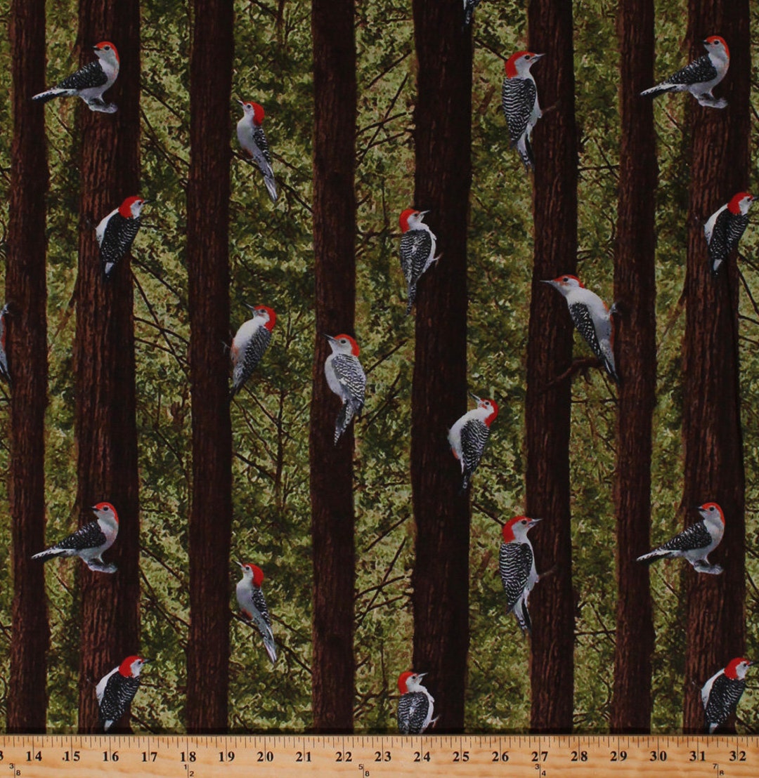 Cotton Woodpeckers Red-bellied Woodpecker Birds Nature Trees Woods ...