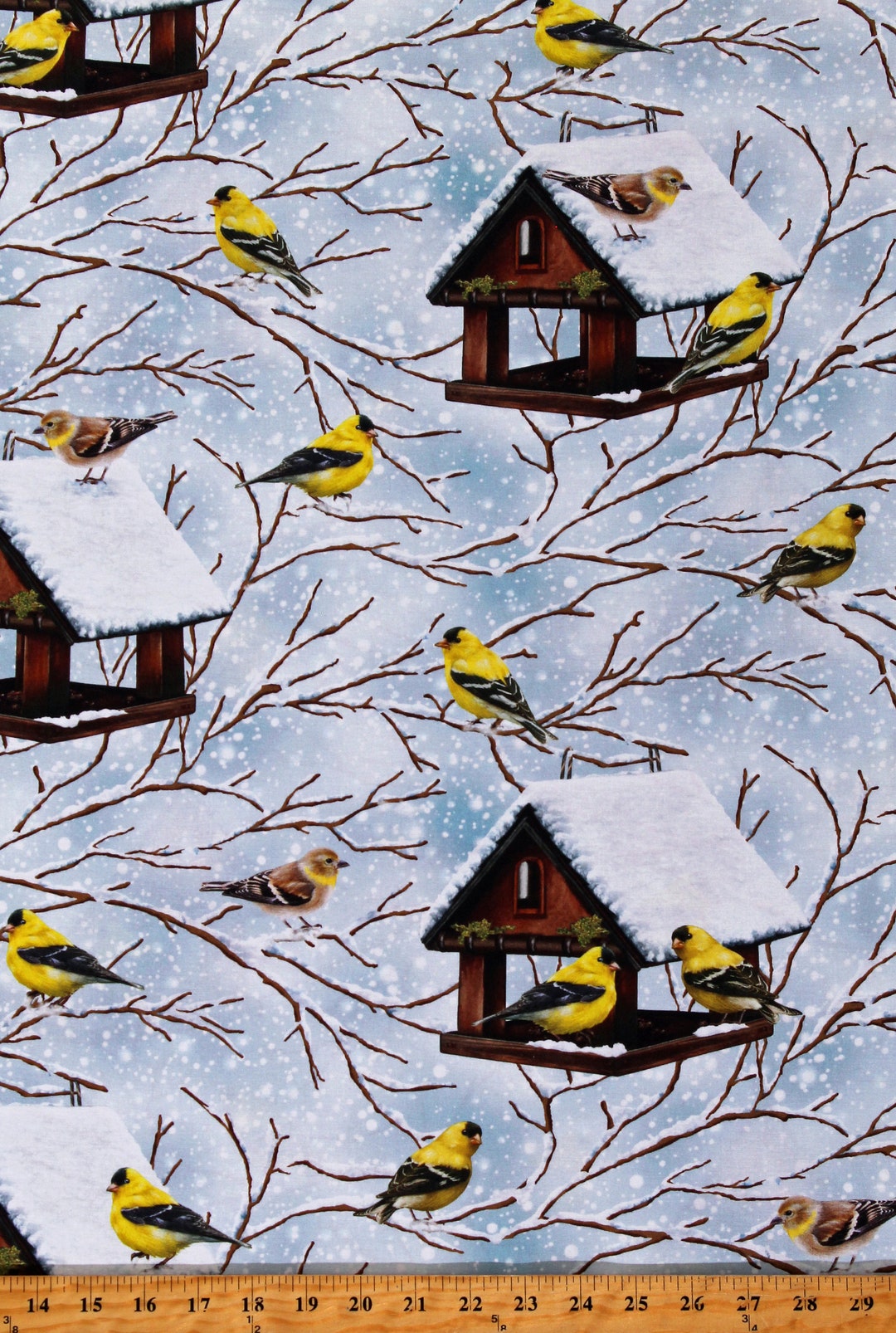 Cotton Goldfinches in Winter Birds Birdhouses Winter Visitors Blue ...
