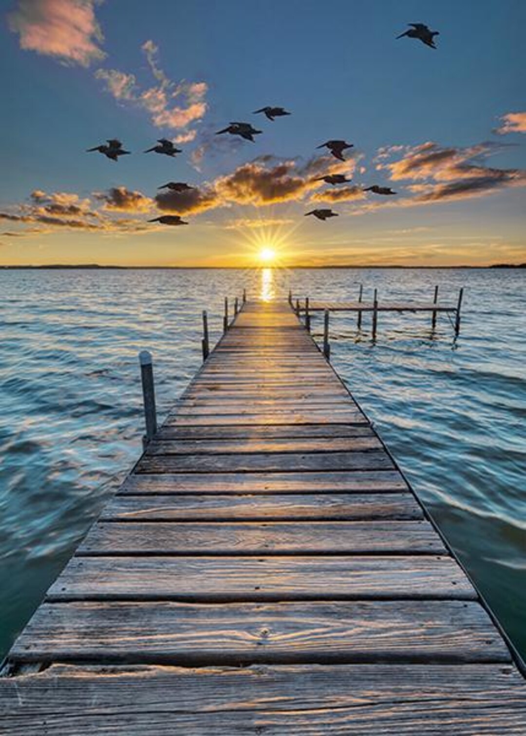 31" X 44" Panel Cotton Beach Ocean Sea Water Birds Pier Multicolor Fabric Panel (W5421-151 ...