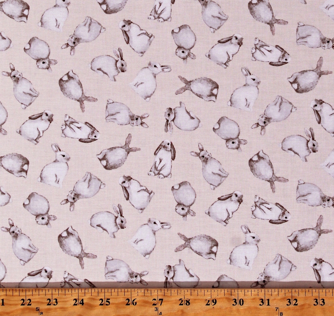 Cotton Bunnies Bunny Rabbits Baby Animals Kids Children's Easter Spring ...