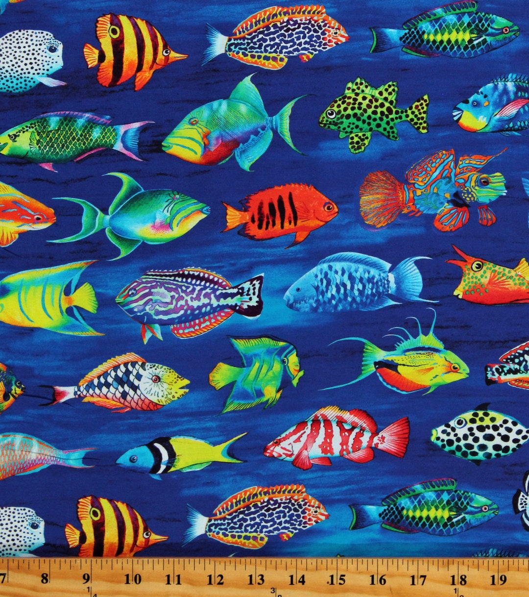 Cotton Fish Coral Canyon Water Ocean Aquatic Animals Blue Cotton Fabric ...