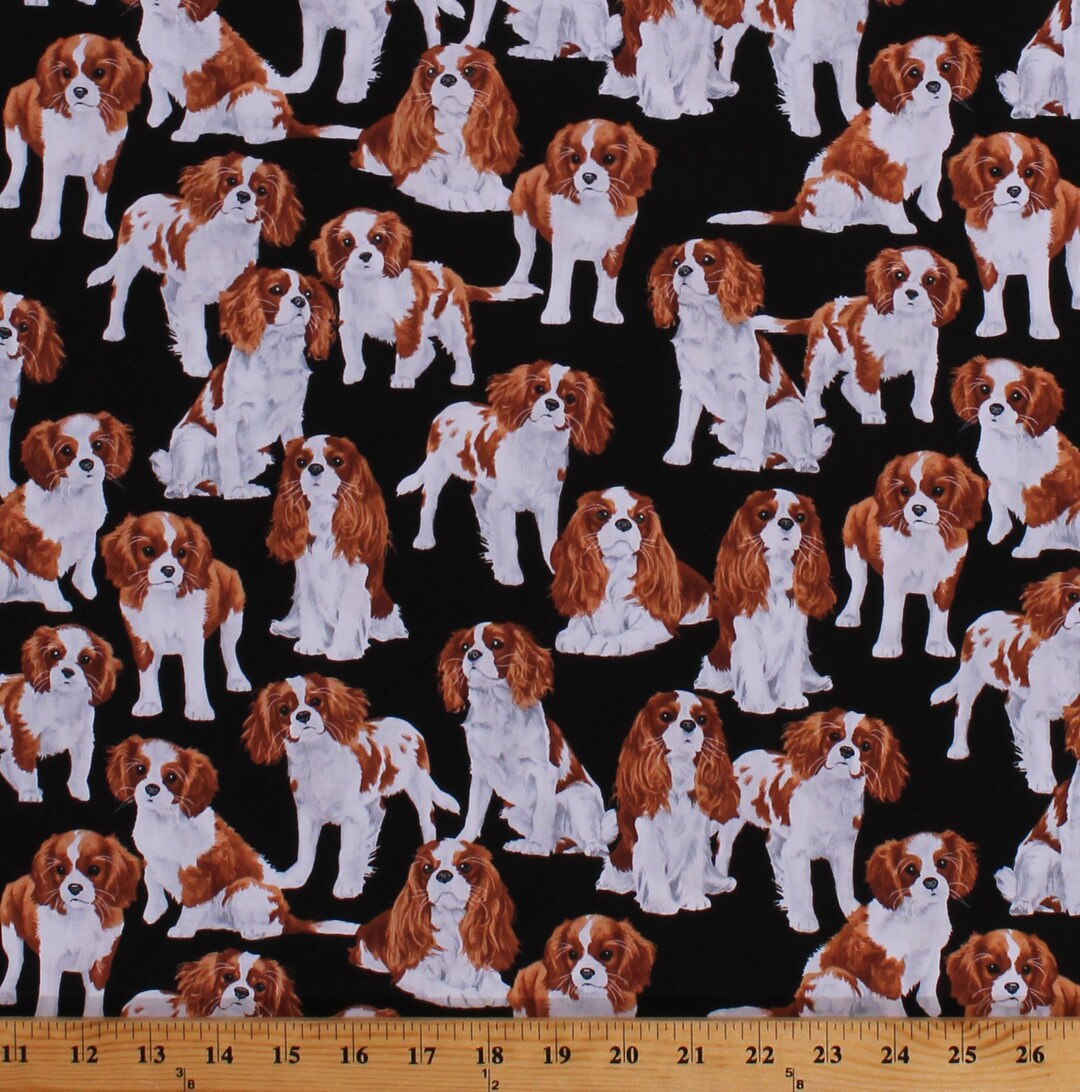 Cotton Dogs Puppies Cavalier King Charles Cocker Spaniel Animals Pets ...