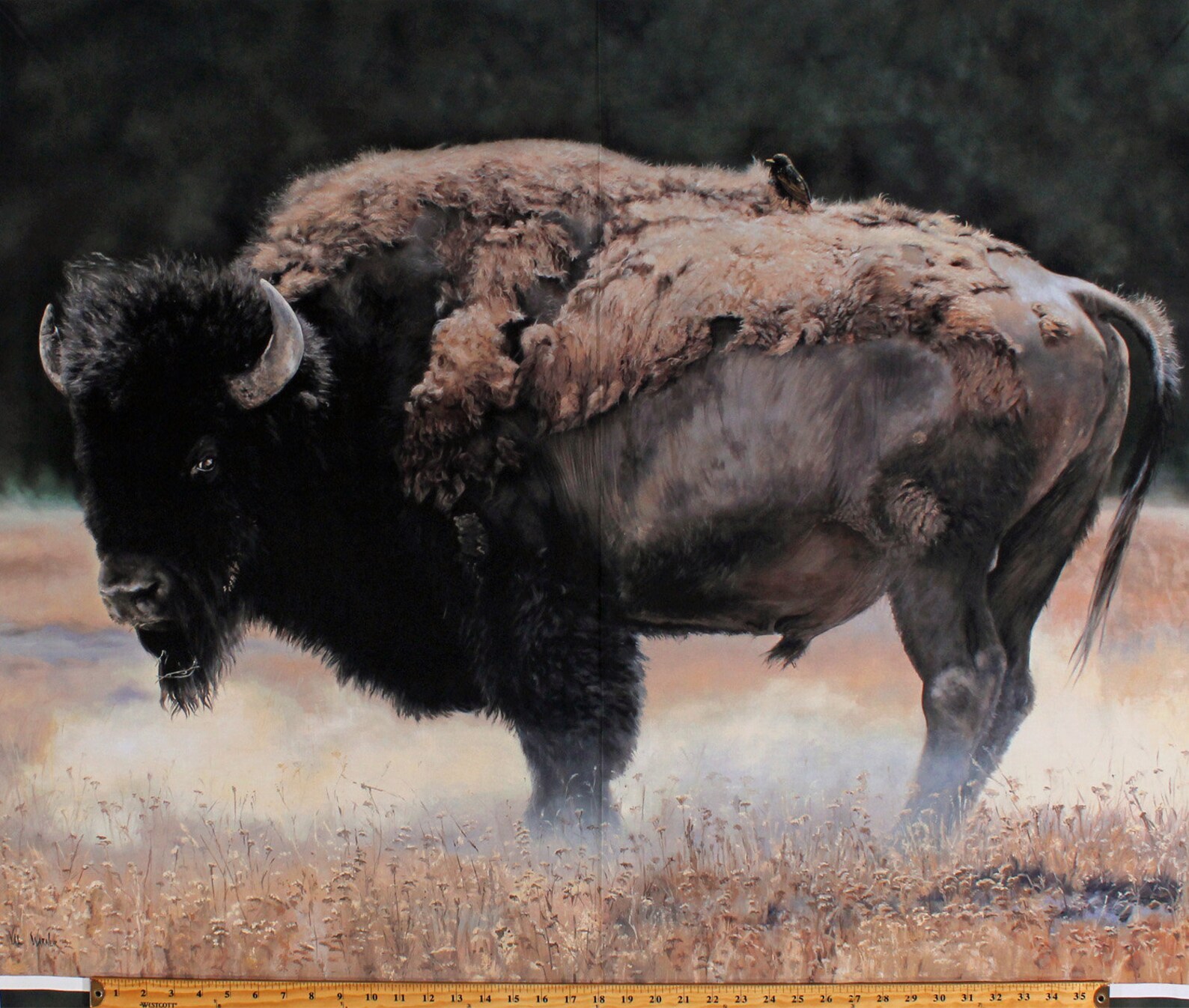35.5 X 44 Panel Buffalo Bison Realistic Animal - Etsy