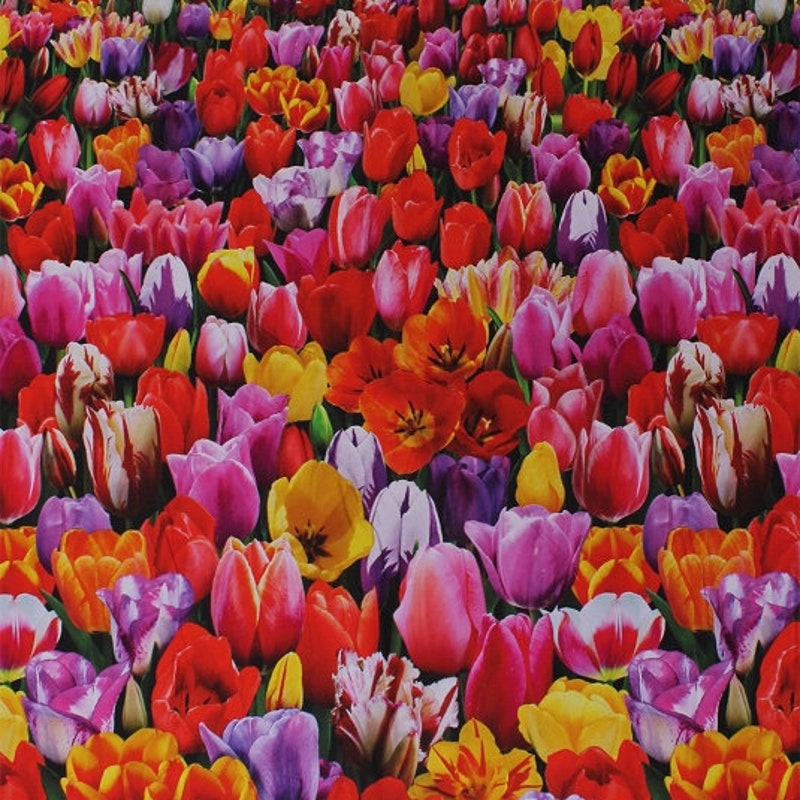 Tulip Print Fabric - Etsy