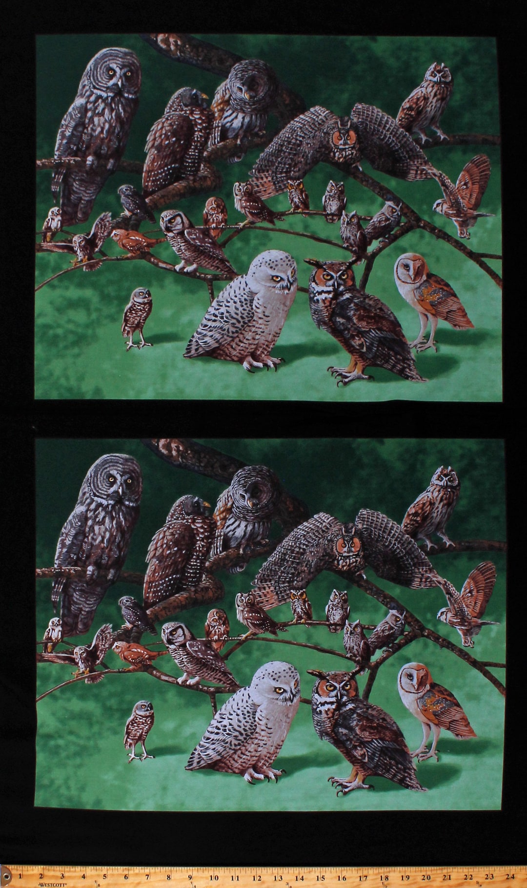 24" X 44" Panel Owls Barn Owls Snowy Owls Screech Owls Great Horned ...