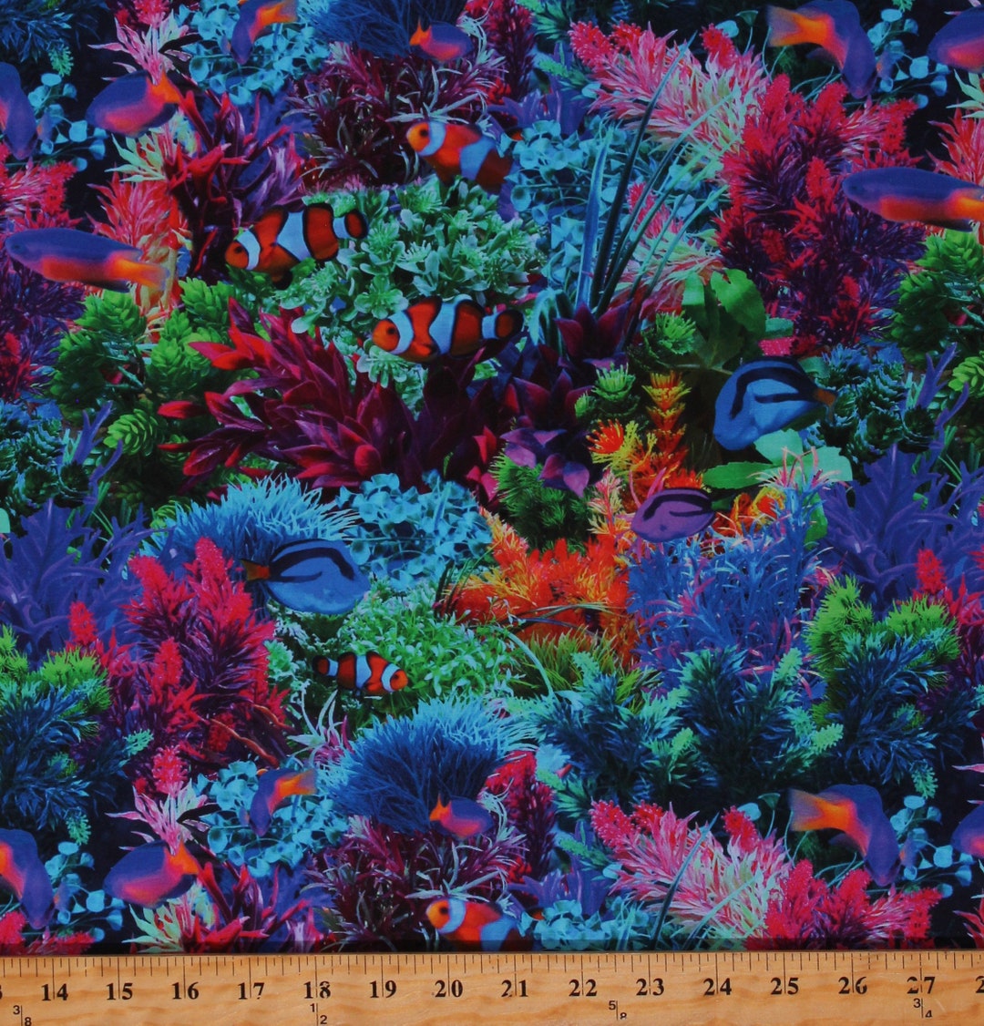 Cotton Fish Animals Clownfish Angel Fish Ocean Water Sea Life Coral ...