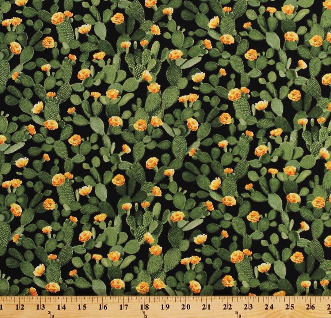 Cotton Cactus Cacti Prickly Pear Succulents Flowers Flowering Desert ...