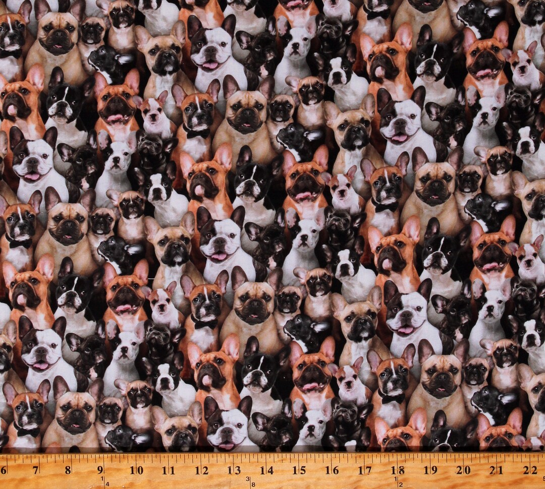 Cotton Best Friend French Bulldogs Animals Pets Dogs Puppies Multicolor ...