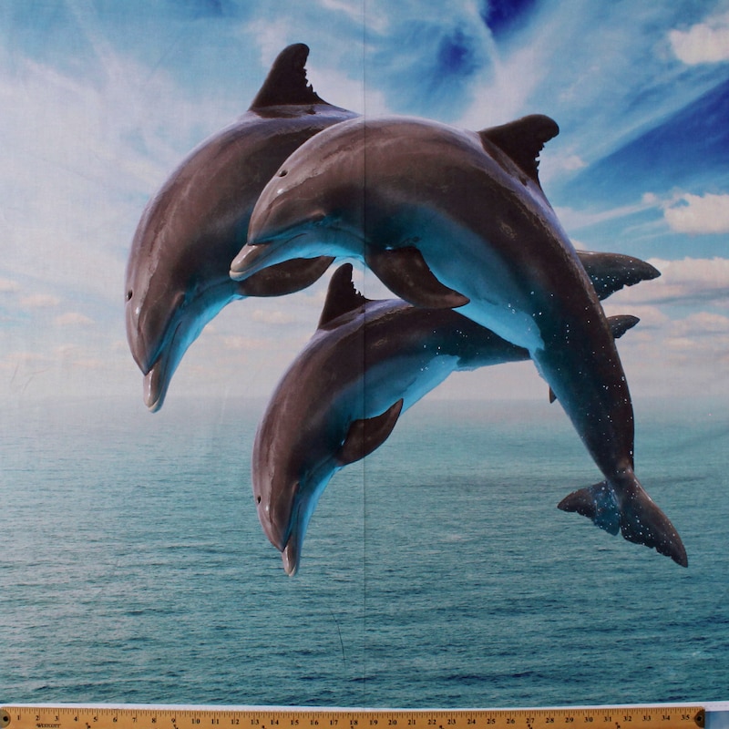 Dolphin Fabric - Etsy