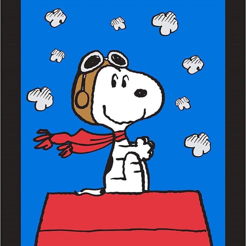 Snoopy Panel - Etsy