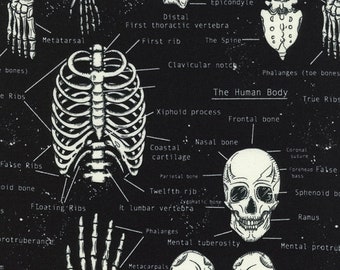 Skeleton Fabric Anatomical Study of A Skeleton by - Etsy