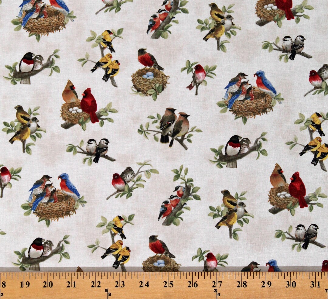 Cotton Beautiful Birds Songbirds Bird Nesting Bird-watching Nests Cream ...