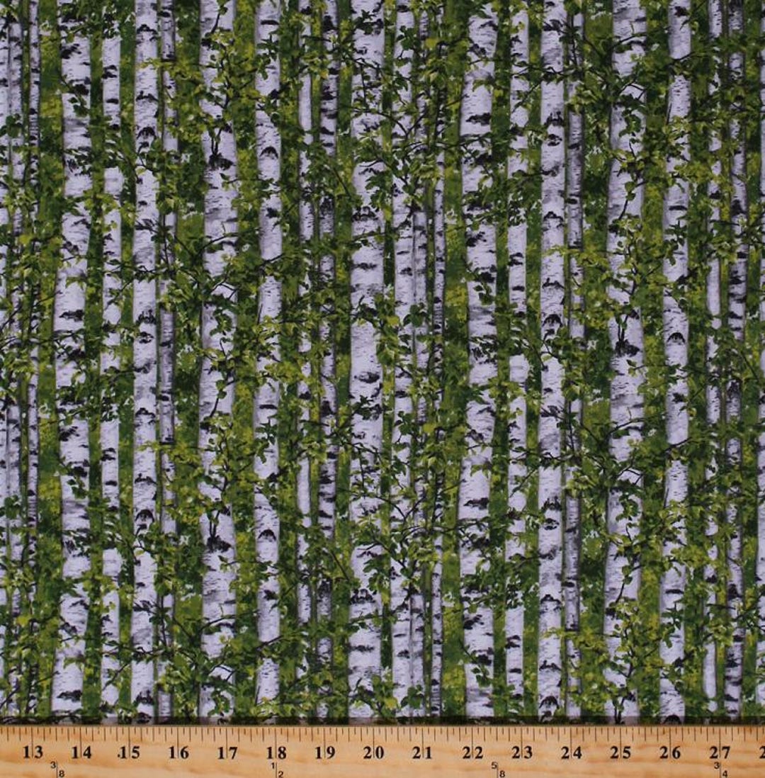Cotton Landscape Birch Trees Leaves Branches Woods Forest Nature ...