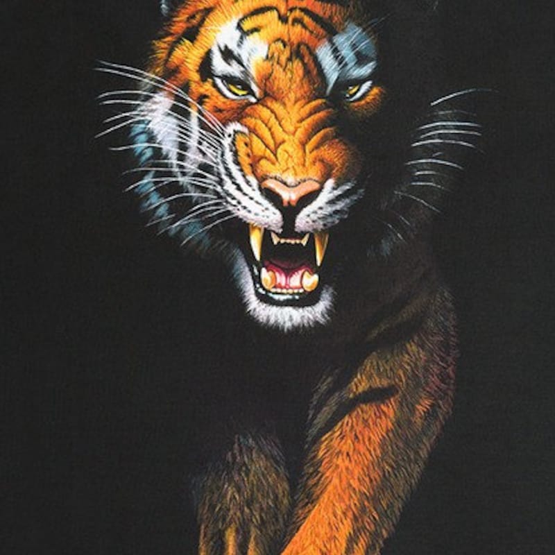 Tiger Fabric - Etsy