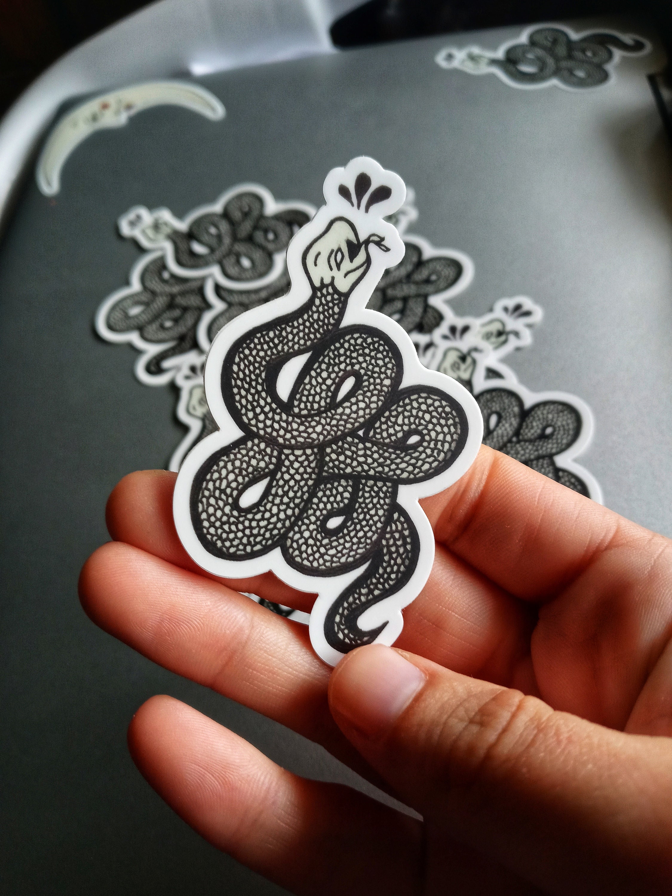 Coiled Snake Sticker Vinyl Decal | Etsy