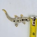 Sparkly Lizard Brooch – Rhinestone Gecko Pin With Black & Clear ...