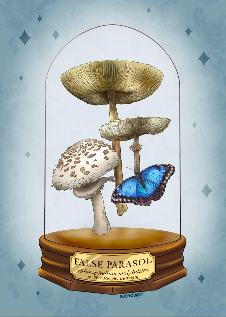 False Parasol X Blue Morpho Butterfly 5" X7" Postcard Print ...