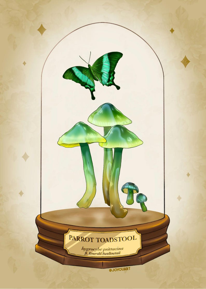 Parrot Toadstool X Emerald Swallowtail Butterfly 5" X7" Postcard Print ...