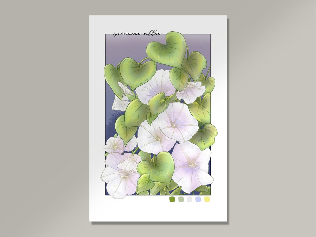 Moonflower Art Print | Digital Illustration | Floral, Flower, Nature ...