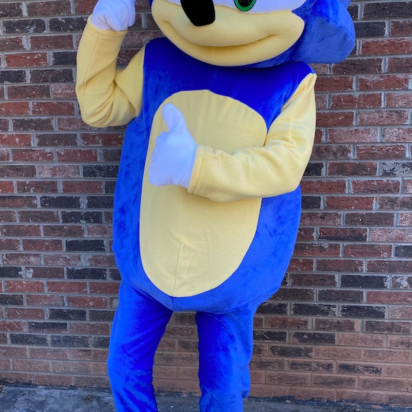 Bluey Fursuit - Etsy