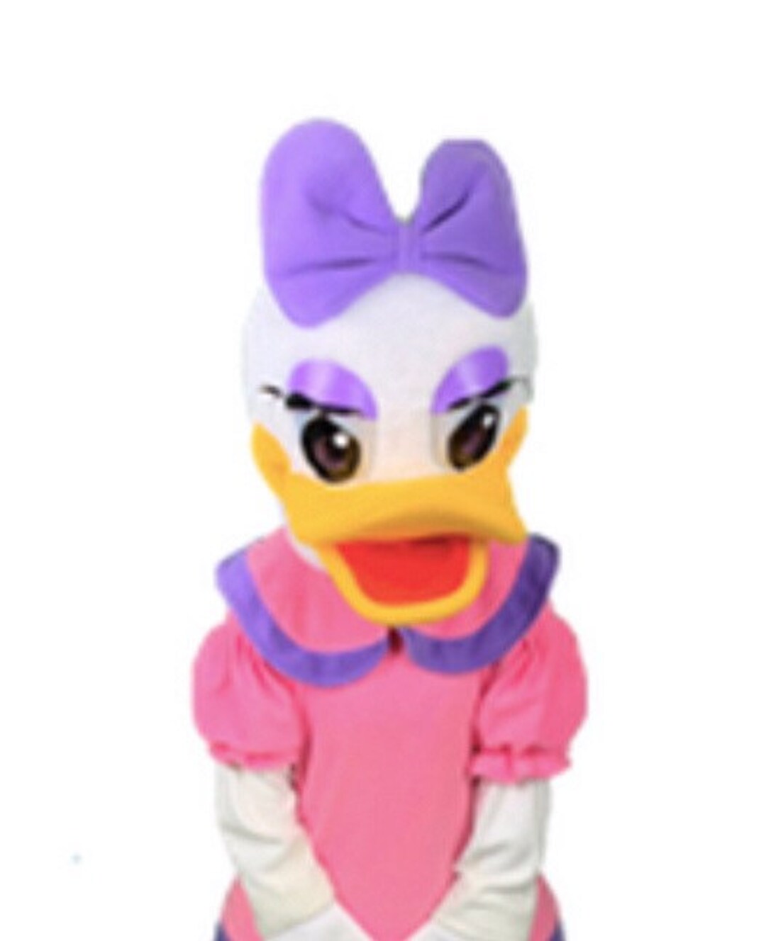 READY TO SHIP Miss Duck Mascot Costume - Etsy