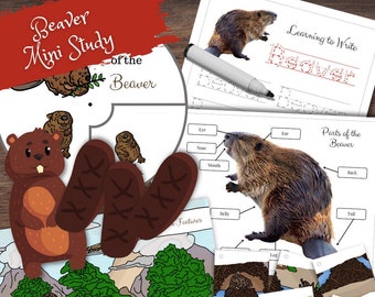 Beaver Unit Study - Etsy
