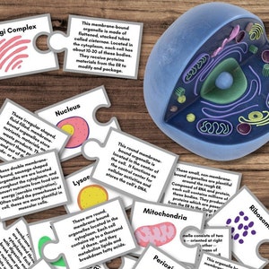 PUJA Pooja Service Set Matching Activity W/poster Learning Hindu ...