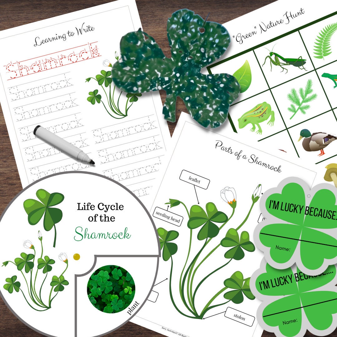 SHAMROCK Clover Life Cycle, Anatomy, Craft, Irish Blessings Bundle - Etsy