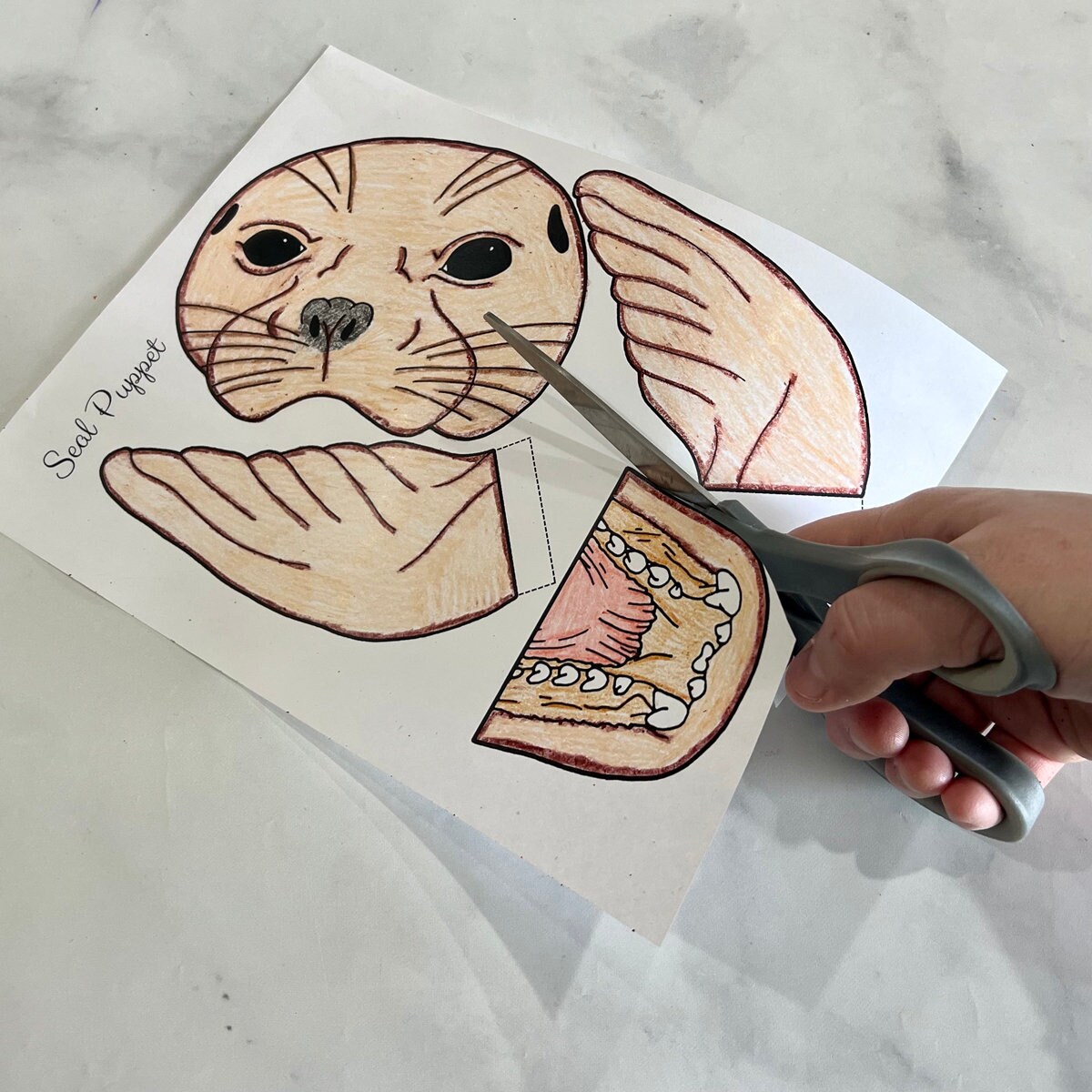 Preschool/kindergarten FUR SEAL Paper Bag Puppet Craft W/instructions ...